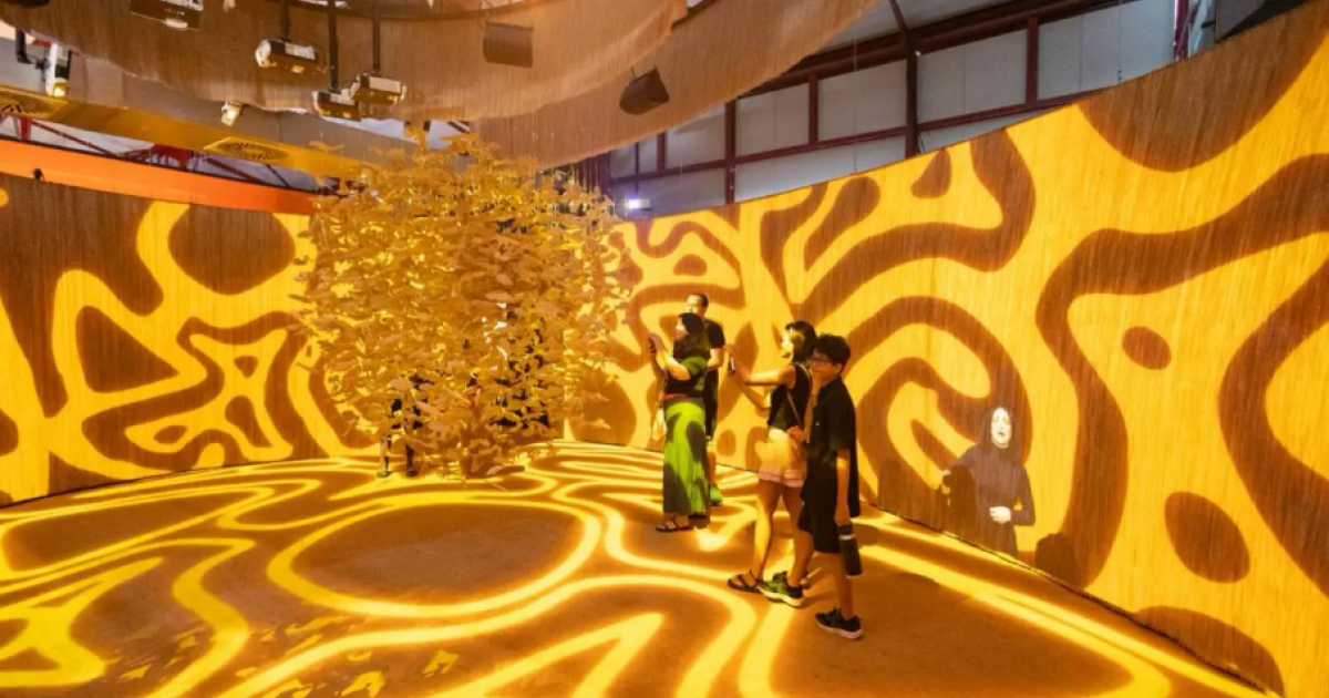Museu das Amazônias realiza programações especiais no período das ...